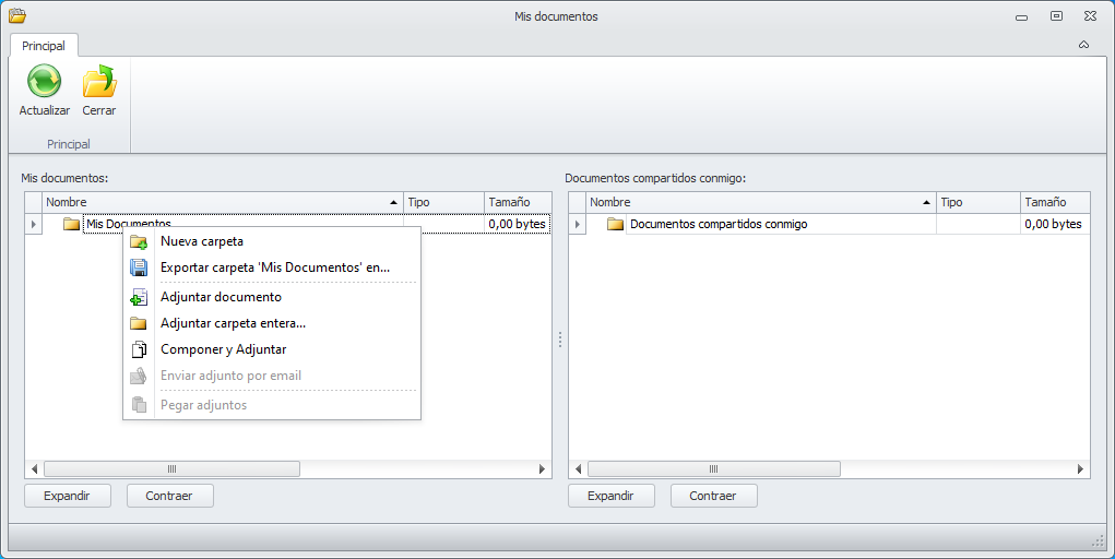 Carpeta "Mis documentos"